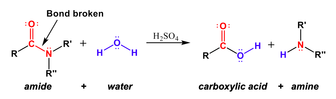 Condensation and Hydrolysis Reactions (M12Q6) – CHEM 104: Working Copy