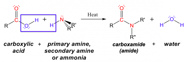 Condensation and Hydrolysis Reactions (M12Q6) – CHEM 104: Working Copy