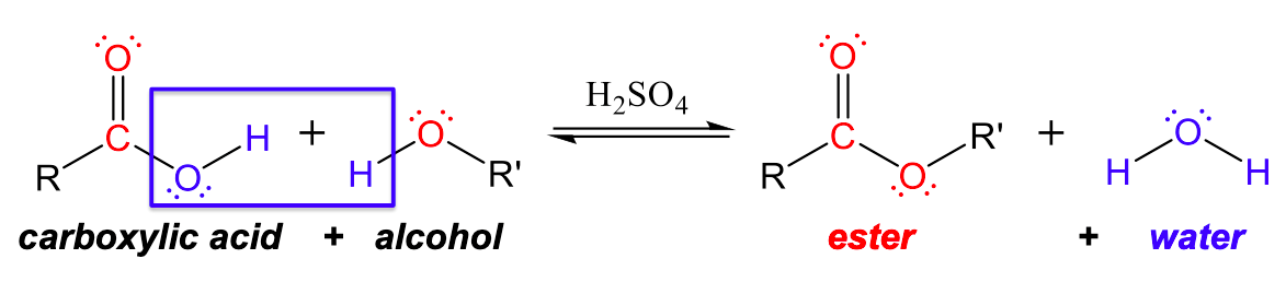 Condensation and Hydrolysis Reactions (M12Q6) – CHEM 104: Working Copy