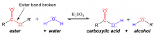Condensation and Hydrolysis Reactions (M12Q6) – CHEM 104: Working Copy