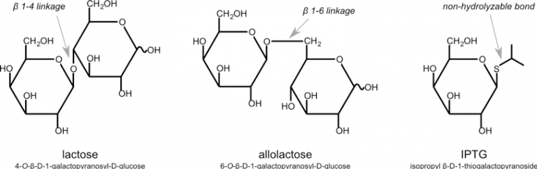 Lab 7: BACKGROUND – Biochemistry 551 (Online Version) Lab Manual