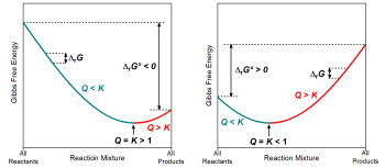D23.4 Gibbs Free Energy and Reaction Quotient – Chemistry 109 Fall 2021